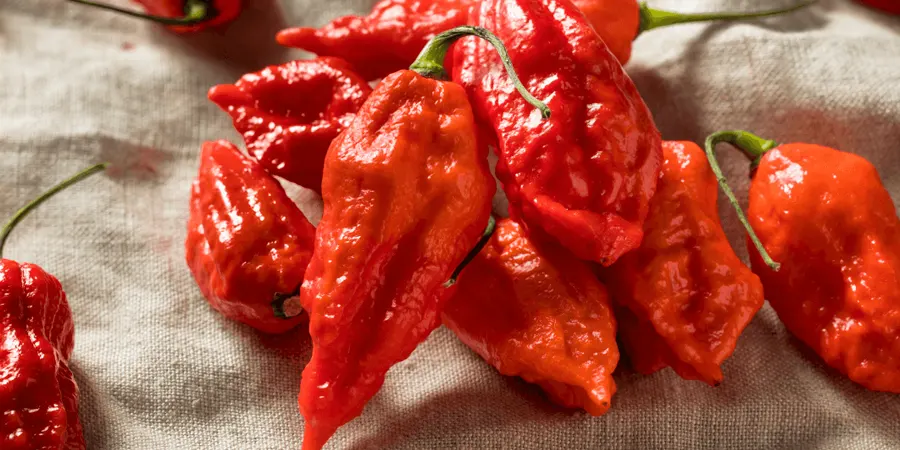 Ghost Pepper Paprika - Ljuti sos Zlotenica